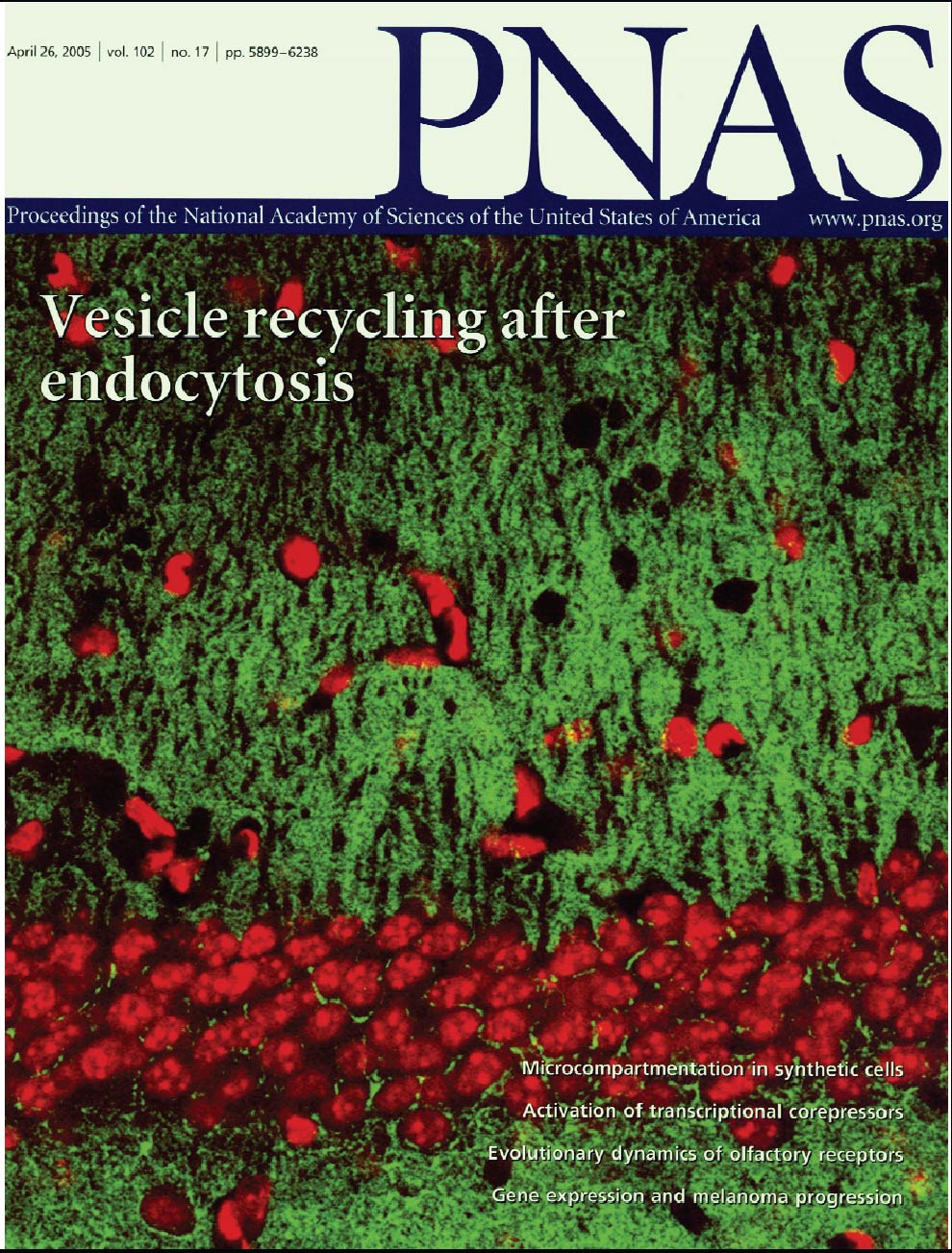 PNAS_cover – MurthyLab